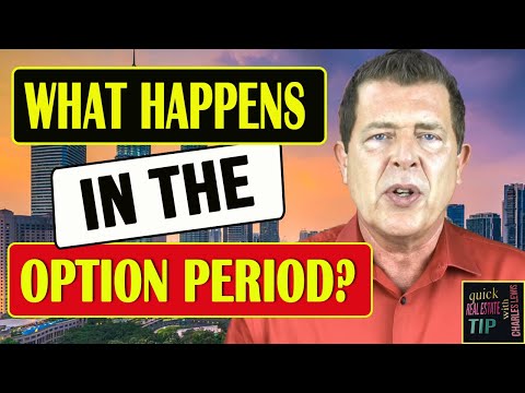What Happens in the Option Period?