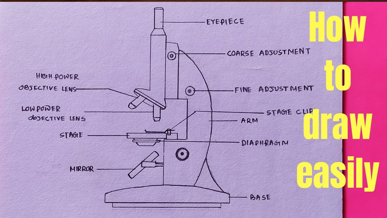 How to draw Microscope diagram for beginners - step by step