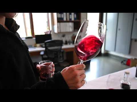 Somerston Estate | Napa Valley Winery & Vineyards