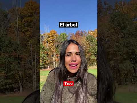 Tree not three in Spanish #shorts30