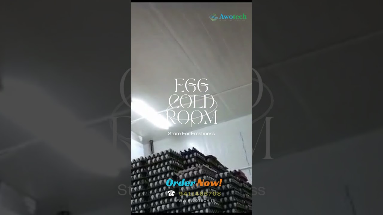 Egg Cold Room: The Ultimate Guide to Preserving Freshness 🥚❄️