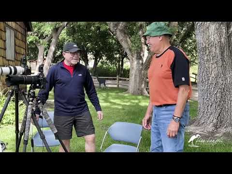 Arizona Highways PhotoScapes Eastern Arizona Hummingbird Workshop