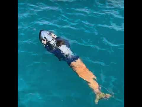 Summer Fun in the BVI