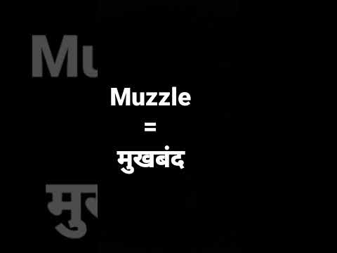 muzzle meaning in hindi and its parts of speech and its pronunciation