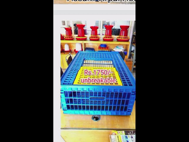 Poultry Gas Brooder Wholesale Trader from Kamrup