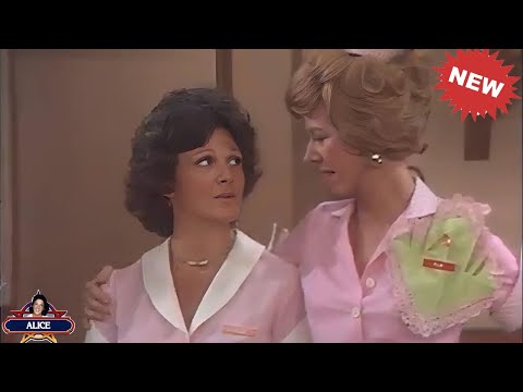 [NEW] Alice 1976 Classic Sitcom 📺 Full TV Series Playlist 🌟 Best of Retro Comedy 2025