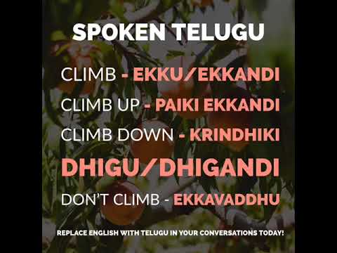 Phrases and Sentences with-Climb | Learn Telugu with Pravindra Adari | Learn Telugu | Learn English