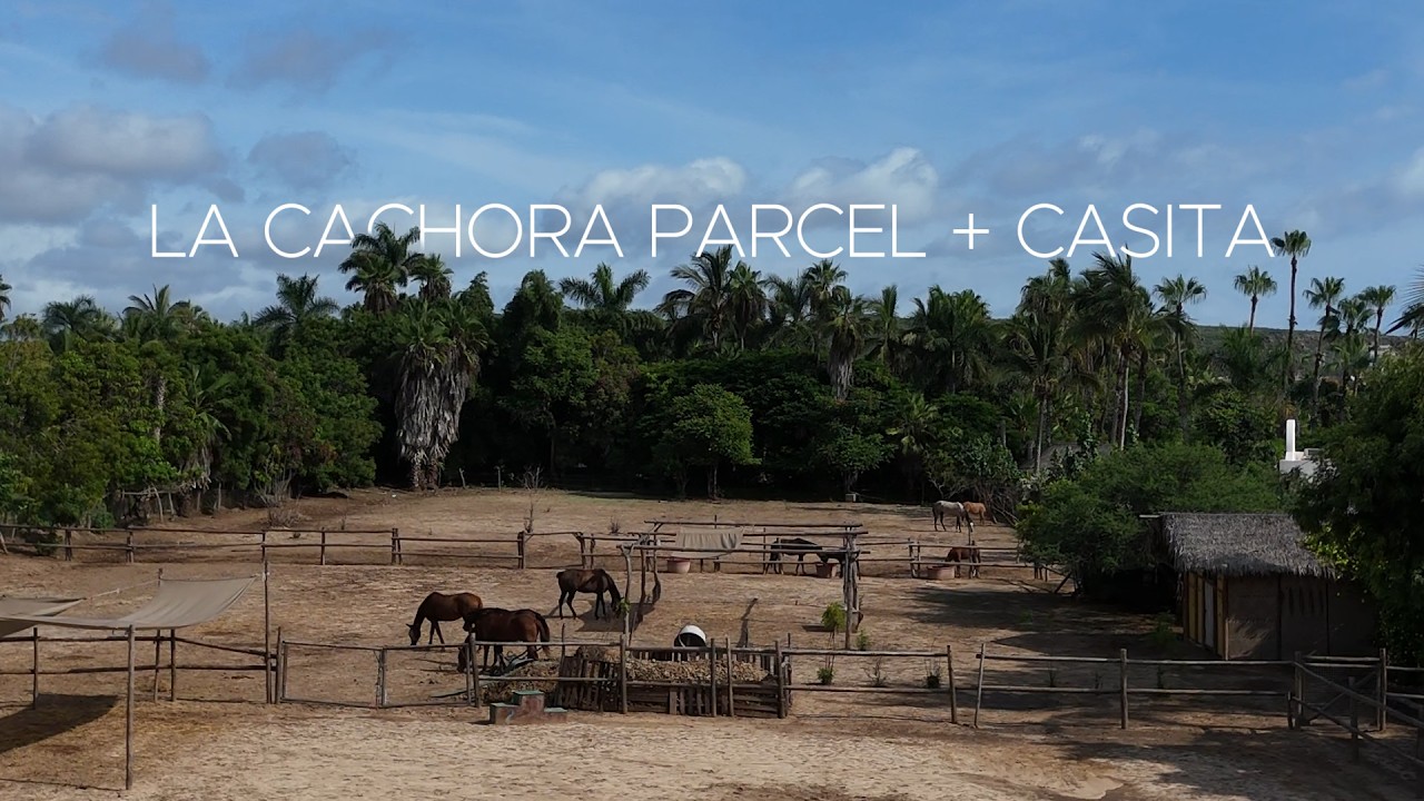 Almost 2 acres parcel + Casita in La Cachora, Todos Santos