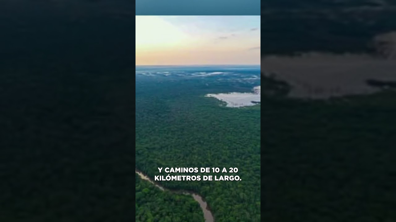 Descubren ciudad perdida en el Amazonas.