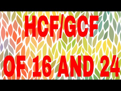 HCF of 16 and 24|GCF of 16 and 24