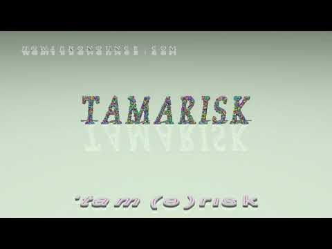 tamarisk - pronunciation + Examples in sentences and phrases