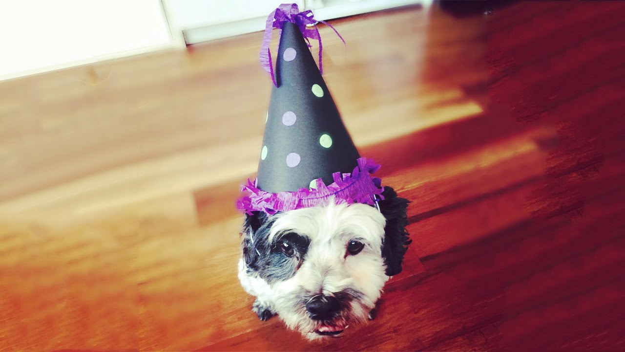 Customize Your Party Hats - FREE Printable