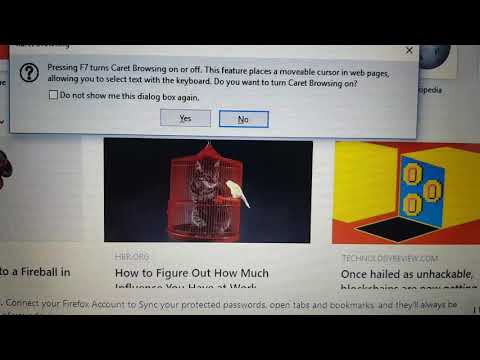 WHAT THE HECK how do i reverse this (caret browsing)