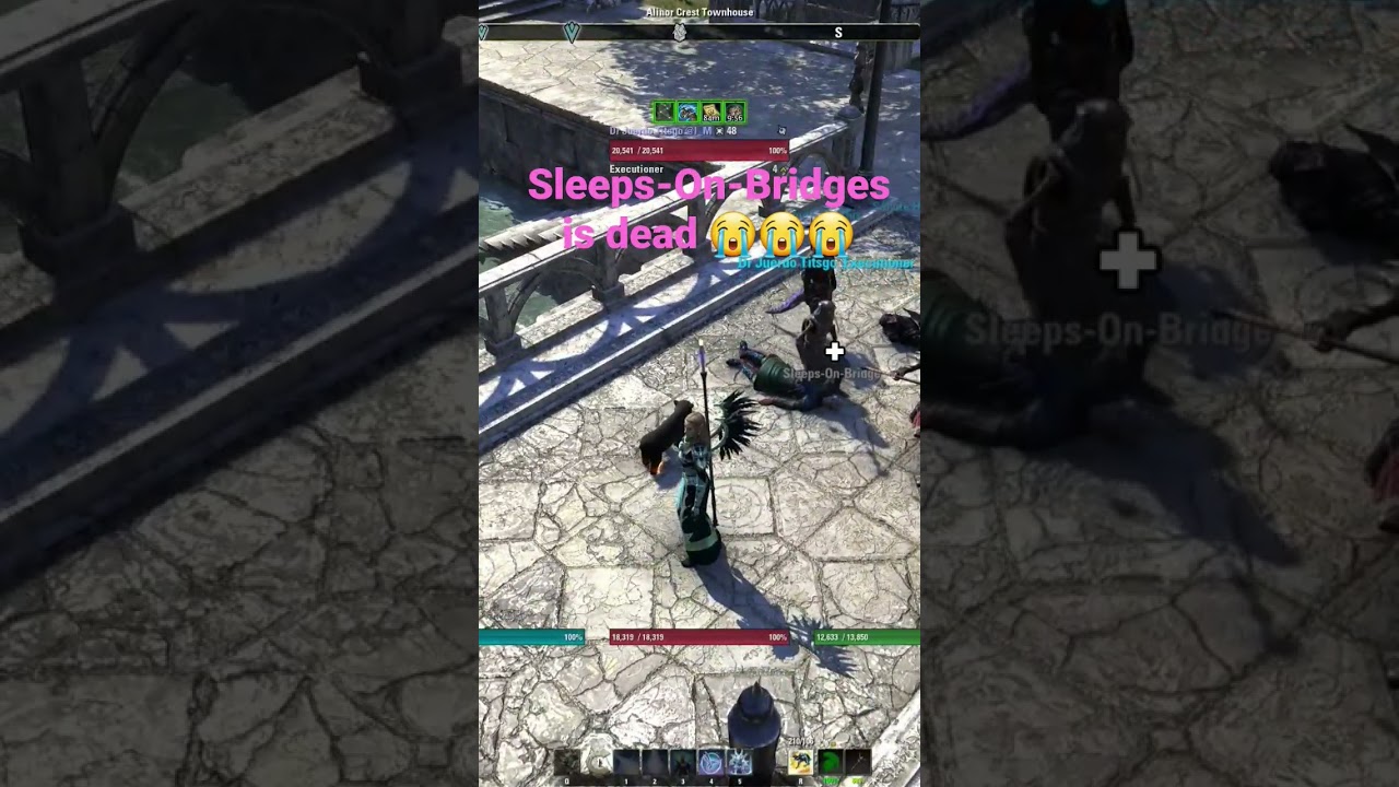 Sleeps-On-Bridges is dead 💀 - ESO