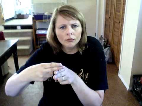 Introducing Yourself in ASL | Shericook's Blog