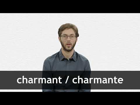 English Translation of “CHARMANT” | Collins French-English Dictionary