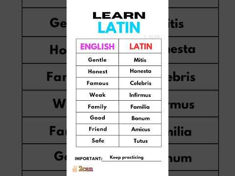 Learn Latin|Vocabulary|No.1
