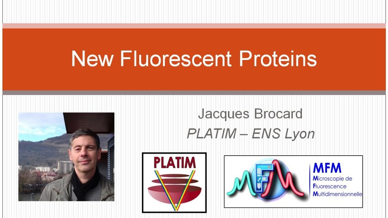 New Fluorescent Proteins