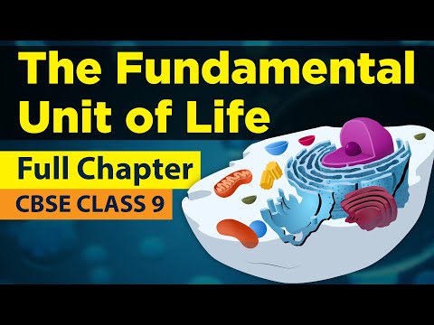 THE FUNDAMENTAL UNIT OF LIFE in 1 Shot | FULL Chapter Animation | Class 9th Biology | NCERT Science