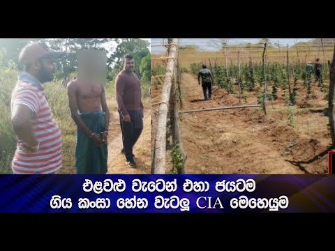 Hiru CIA | 2019-07-06 - Hiru News - Srilanka's Number One News Portal ...