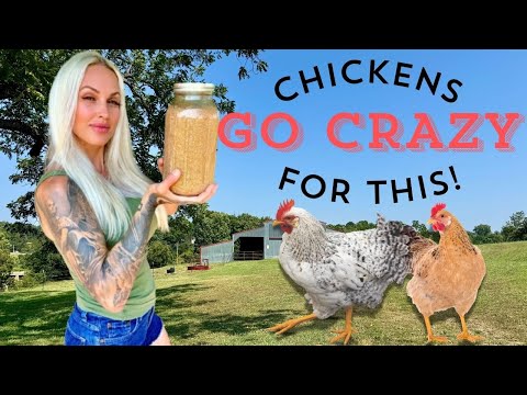 How to Ferment Chicken Feed in 2 Minutes