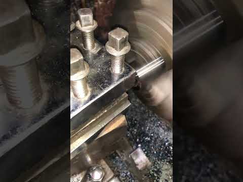 "Unleashing Power: Epic Steel Bush & Blue Chips Cutting Adventures! 💥✂️"