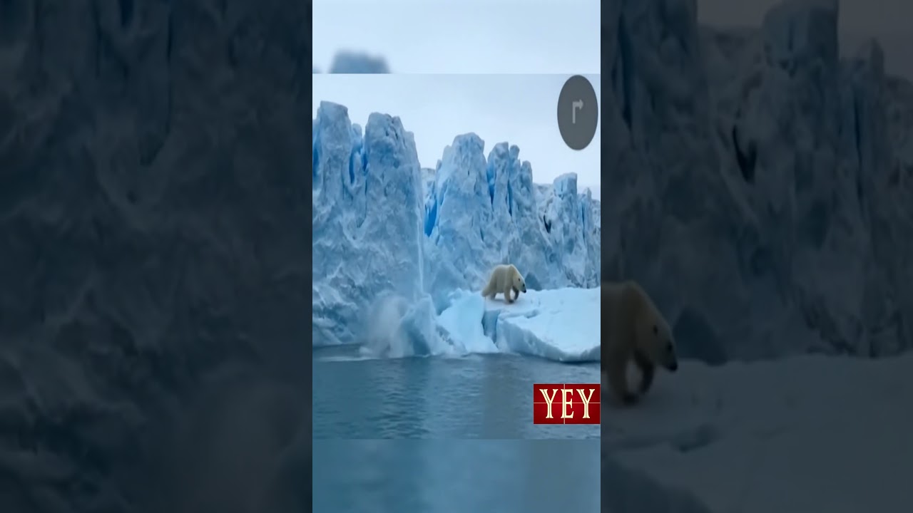 Polar Bear Triggers Glacier Calving #Northpole #AI