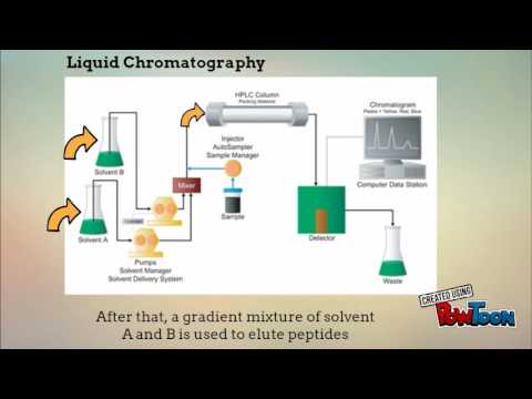 RP-HPLC