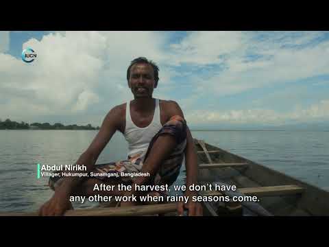 Living in Harmony with Nature - Application of Nature-based Solutions in the Meghna Basin