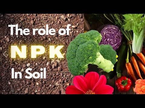 Role of NPK (Nitrogen, Phosphorus and Potassium) in Soil