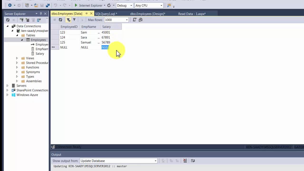 ASP.net Database - DataSource and DataList Controls