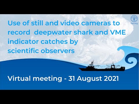 Use of camera systems on commercial fishing vessels – an industry perspective