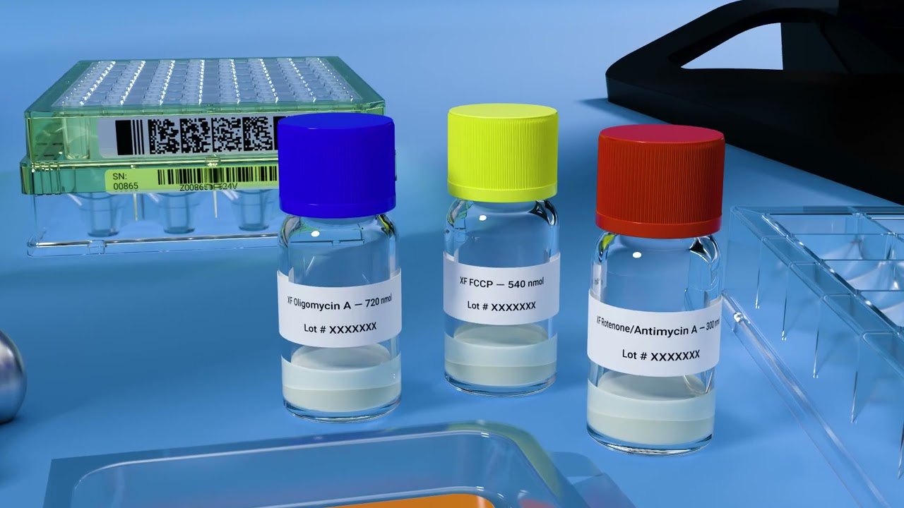 Agilent Seahorse XF Flex Tissue Workflow: A Simple, Optimized Method for Your 3D Metabolic Analyses