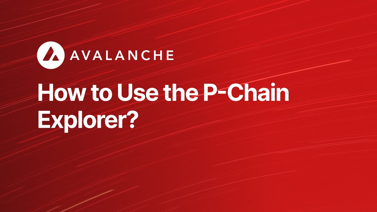 How to Use the P-Chain Explorer?