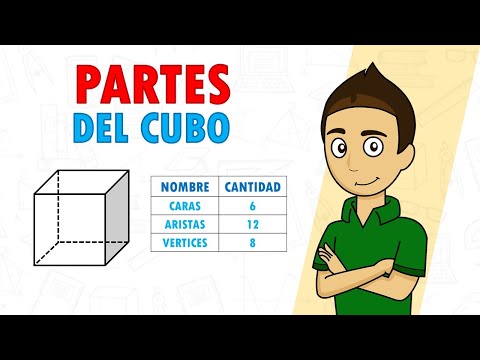 PARTES DE UN CUBO Super facil - Para principiantes