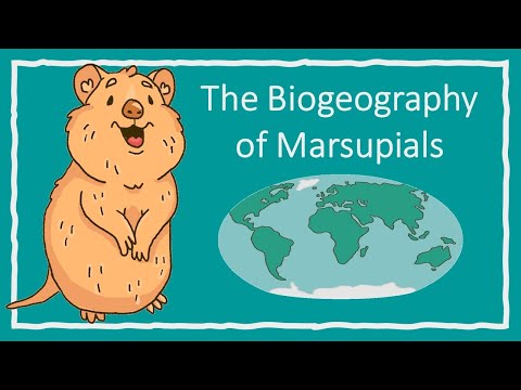 The Biogeography of Marsupials