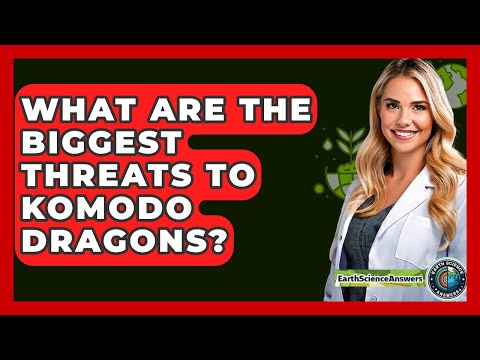 What Are The Biggest Threats To Komodo Dragons? - Earth Science Answers