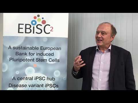 Meet the EBiSC2 team online - Introducing Dr Bryan Bolton, Head of Business Development at ECACC
