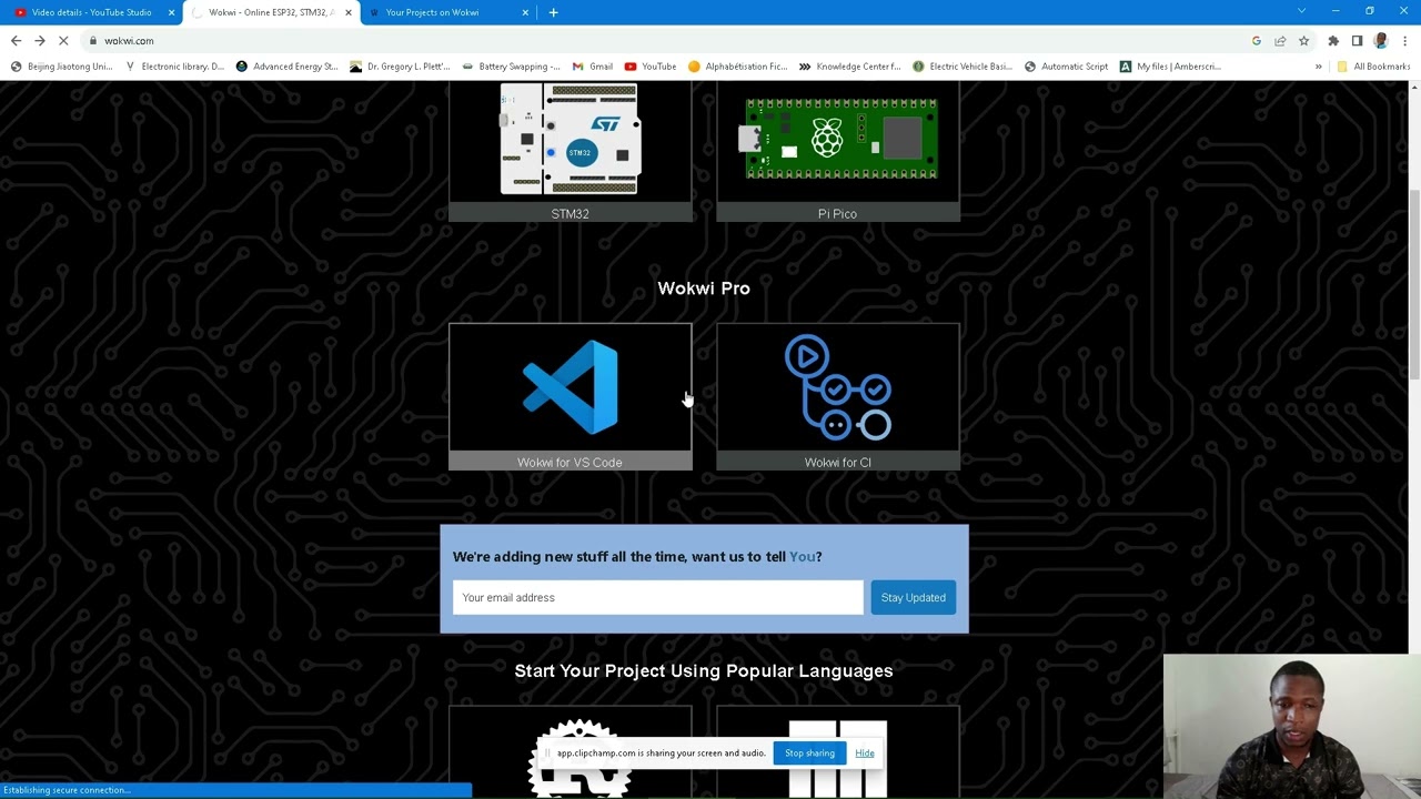Install and get started with Wokwi in VS Code