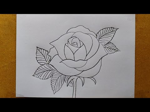 Easy and Simple Rose Flower drawing| How to draw Rose| Rose flower drawing with Pencil| Embroidery