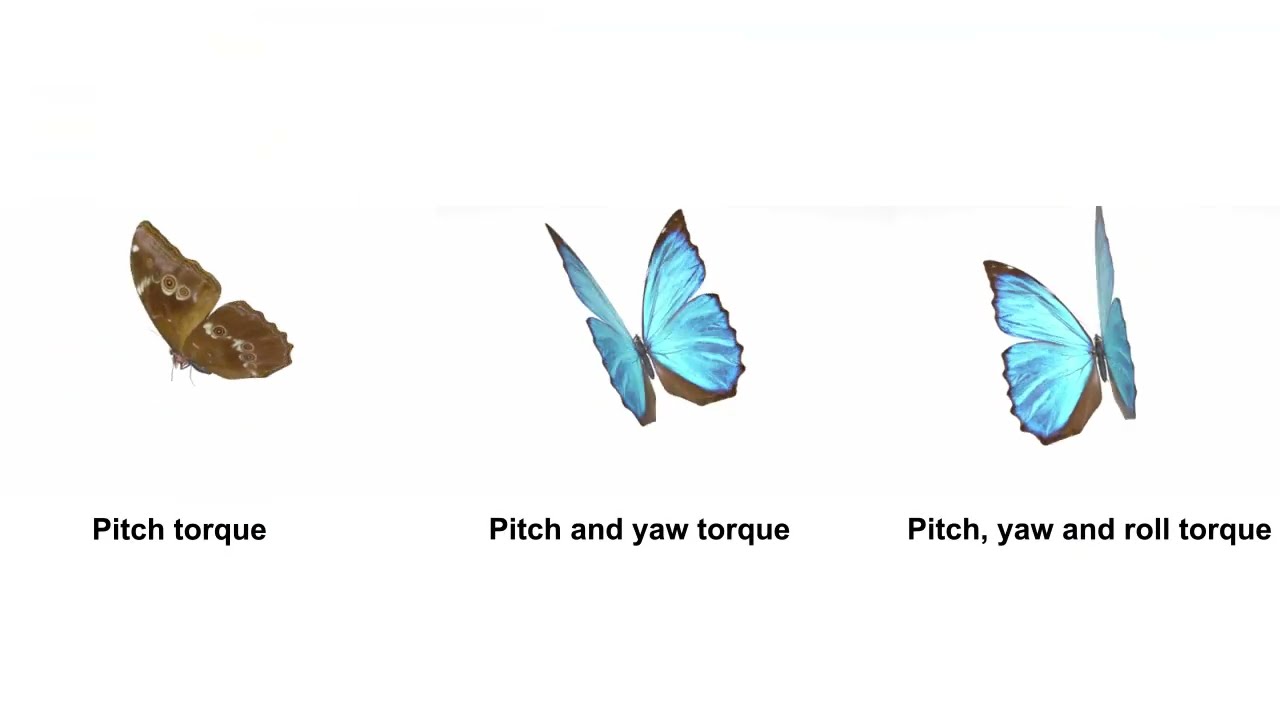 Data-Driven Control of Insect Flapping Flight via Deep Reinforcement Learning