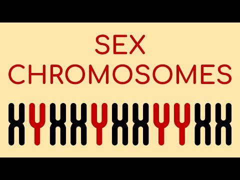 Sex Chromosomes