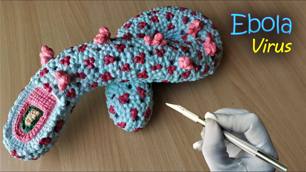 Making Ebola Virus 3D model | DIY Project | Holiday Homework