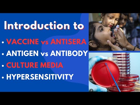 Introduction to Vaccine | Antisera | Antigen | Antibody | Culture Media | Hypersensitivity