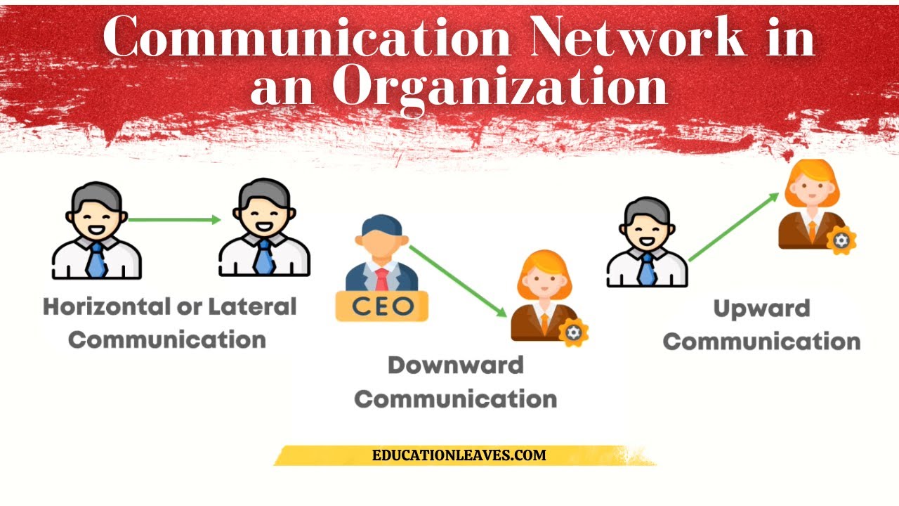 Communication Network in an Organization | Horizontal, Upward, & Downward Communication