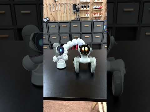 Loona and ClicBot. Best robot friends