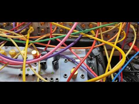 NLC Nonlinear Circuits Poultry In Motion Clock Divider | Reverb