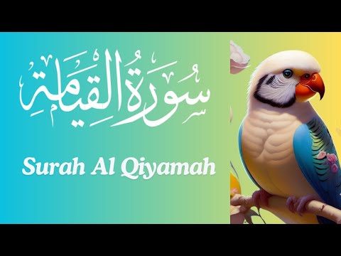 Surah Al Qiyamah Recitation and Reflection