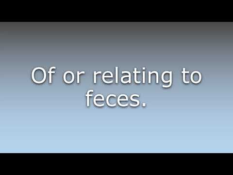 What does Fecal mean?