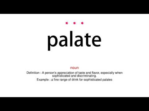 How to pronounce palate - Vocab Today